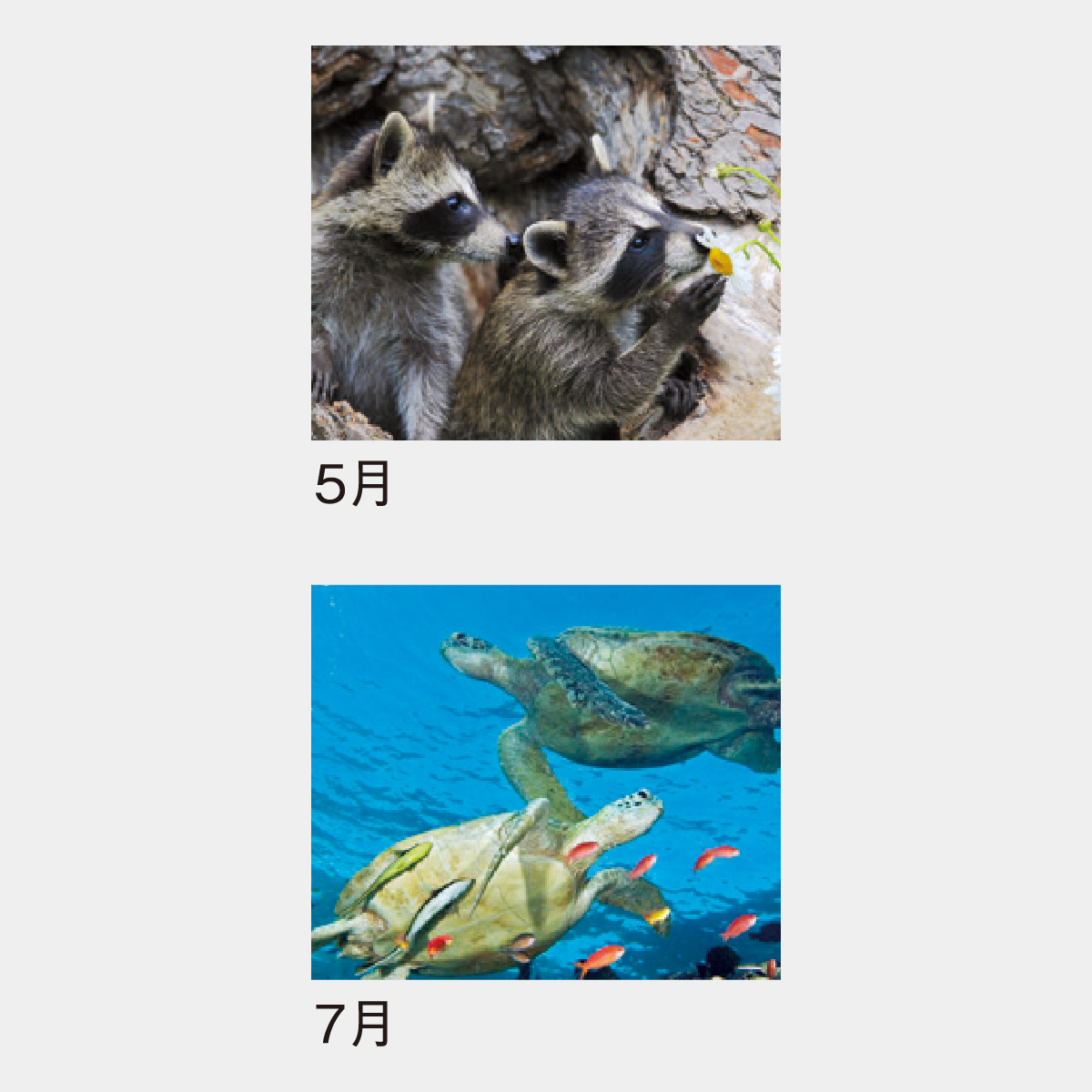 SP-301 ハートウォーム アニマルズ2026年版の名入れカレンダーを格安で販売 - 名入れカレンダー印刷.com